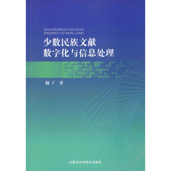 少数民族文献数字化与信息处理 楠丁  书籍