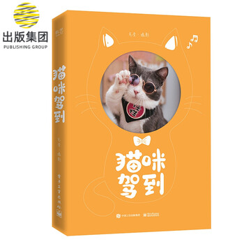 猫咪驾到