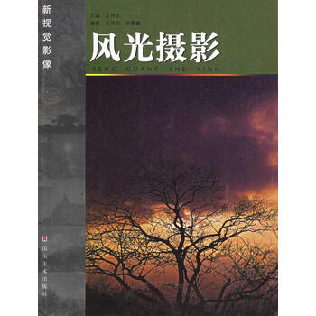 风光摄影(新视觉影像) 王传东 山东美术出版社 9787533018634 摄影 书籍