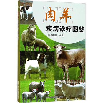 肉羊疾病诊疗图鉴 马利青 主编 书籍