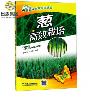 葱高效栽培(双色印刷)/高效种植致富直通车