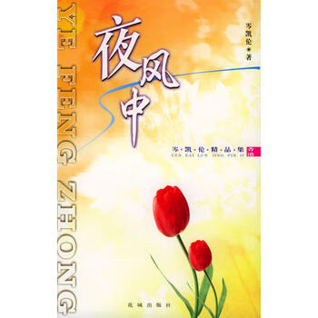 夜风中 译林出版社  岑凯伦