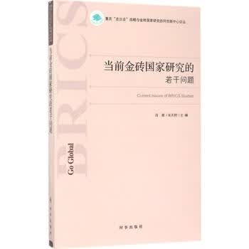 当前金砖国家研究的若干问题