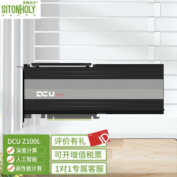 思腾合力 DCU Z100L 海光深度计算处理器 通用GPU加速卡 DCU Z100L【图片 价格 品牌 报价】-京东