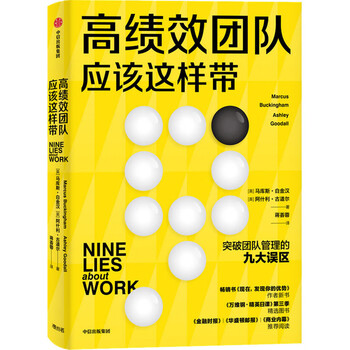 高绩效团队应该这样带 图书