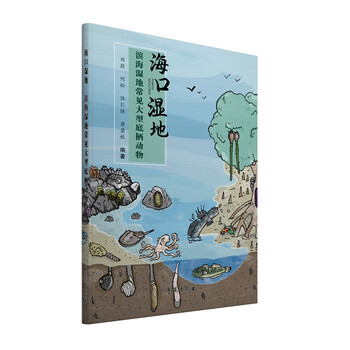 海口湿地•滨海湿地常见大型底栖动物