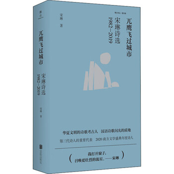 兀鹰飞过城市 宋琳诗选 1982-2019 图书