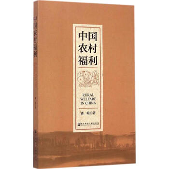 中国农村福利