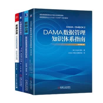 正版4册数据管理、治理4部曲：穿越数据的迷宫：数据管理执行指南+DAMA数据管理知识体系指南+数据决策：企业数据的管理、分析与应用 全四册·正版书籍