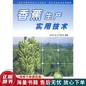 香蕉生产实用技术