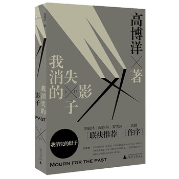 我消失的影子(精)