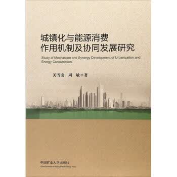 城镇化与能源消费作用机制及协同发展研究