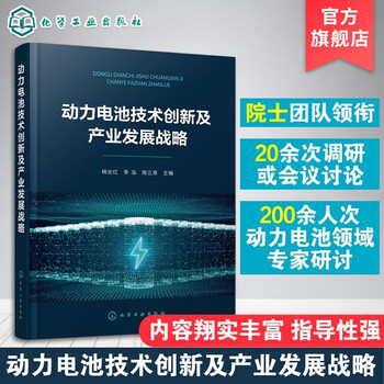正版 动力电池技术创新及产业发展战略 国内外动力电池现状与发展趋势 锂硫电池 全固态电池 动力电池研