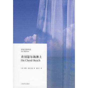在切瑟尔海滩上(麦克尤恩文集)