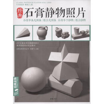 经典石膏静物照片 杨建飞 主编 作 书籍