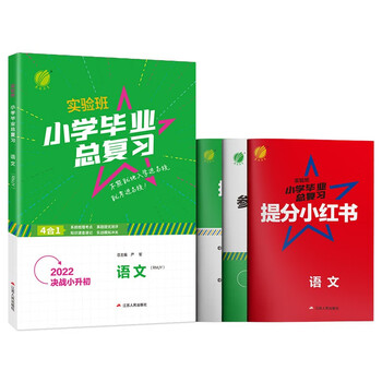 实验班小学毕业总复习 语文 小升初考试六年级升学知识大全备考2022