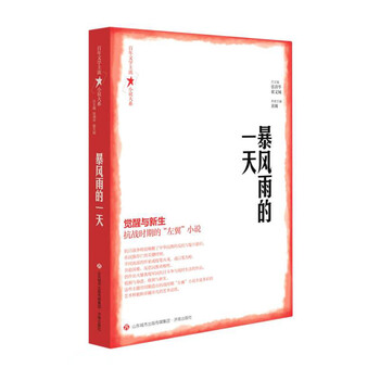 暴风雨的一天/百年文学主流小说大系