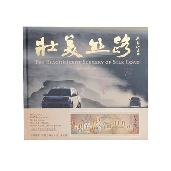 [正版图书]壮美丝路