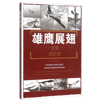 雄鹰展翅:空军的历史 刘丙海,黄学爵