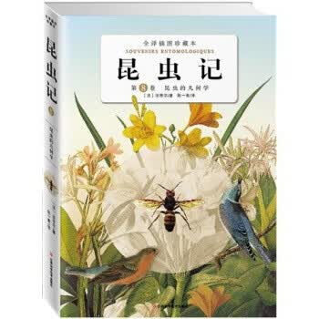 昆虫记 第8卷 昆虫的几何学