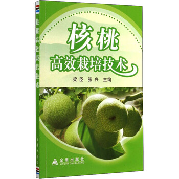 核桃高效栽培技术 图书