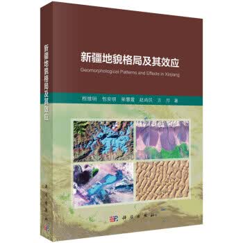 新疆地貌格局及其效应 程维明等 科学出版社 9787030599193