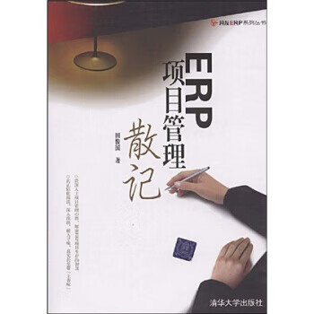 ERP项目管理散记 田俊国 清华大学出版社