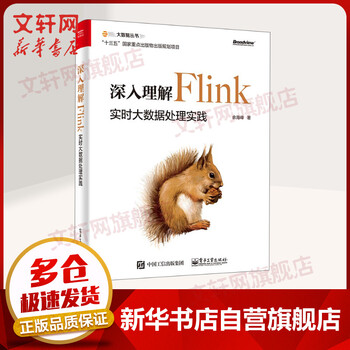 深入理解FLINK 实时大数据处理实践
