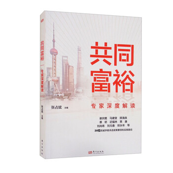 共同富裕专家深度解读