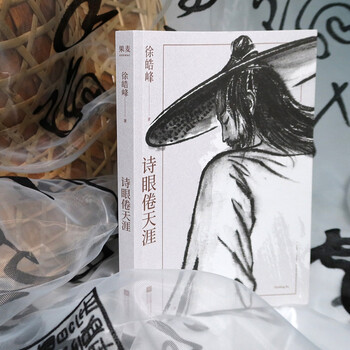 诗眼倦天涯 徐浩峰