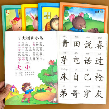 幼儿园阅读与识字全套6册 幼儿中班大班教材入学准备幼小衔接绘本3-6岁儿童学前启蒙宝宝识字书