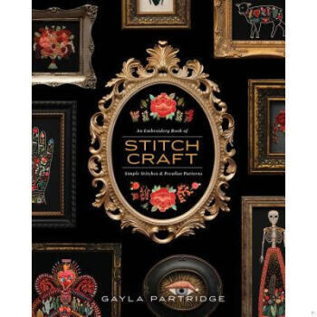 Stitchcraft 针线工艺 特殊图案刺绣艺术 人物 动物 刺绣解剖艺术 英文原版