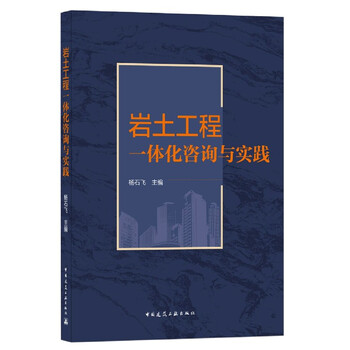 岩土工程一体化咨询与实践 杨石飞