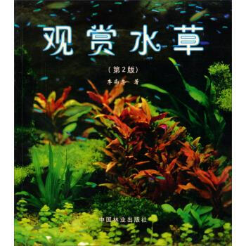 观赏水草