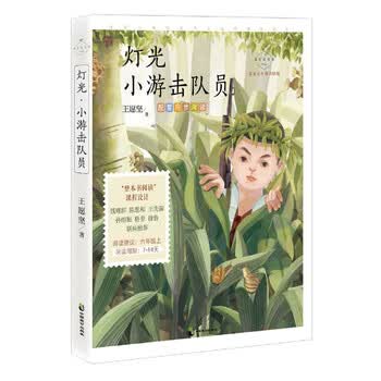 灯光小游击队员(名家公开课美绘版)/成长读书课