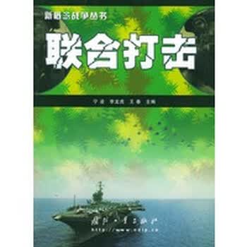 联合打击——新概念战争丛书【正版图书】