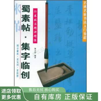 行书技法精讲精练蜀素帖集字临创