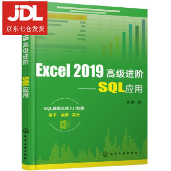 Excel 2019高级进阶—SQL应用 肖鹏 著 9787122375926