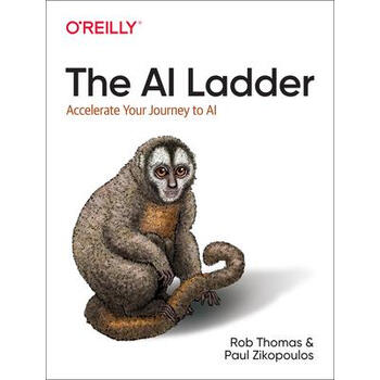 The AI Ladder: Accelerate Your Journey to AI