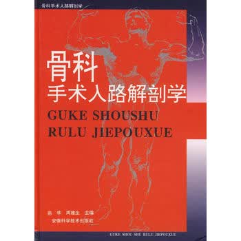 骨科手术入路解剖学 【正版书】