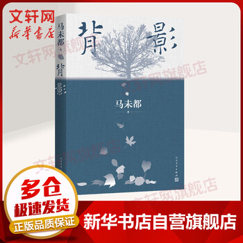 背影 马未都的书 图书