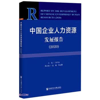 中国企业人力资源发展报告（2020）