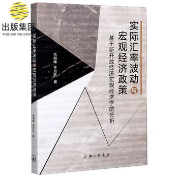 实际汇率波动与宏观经济政策(基于新开放经济宏观经济学的分析)