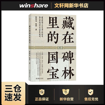 藏在碑林里的国宝  陈根远 杨烨 著 湖南美术出版社 研究中西文化交流的档案库