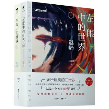 左眼中的世界(上下) 兰思思