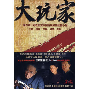 z大玩家 高大勇,黄永辉　著