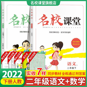2022名校课堂语文数学二年级上下册同步专项练习册测试卷人教版RJ随堂全练基础巩固能力提升 名校课堂【语文+数学】下·人教版RJ（2科套装）