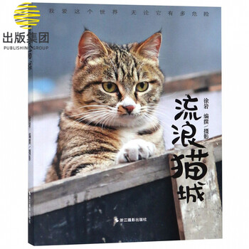 流浪猫城
