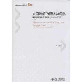 大国追赶的经济学观察 卢锋 北京大学出版社