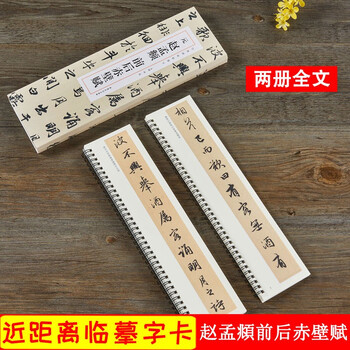 赵孟頫前后赤壁赋 元 经典碑帖近距离临摹字卡全2册 赵体行书书法毛笔字帖原帖简体旁注 安徽美术出版社